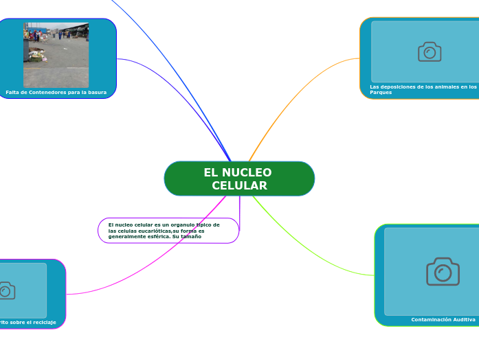 EL NUCLEO CELULAR - Mind Map